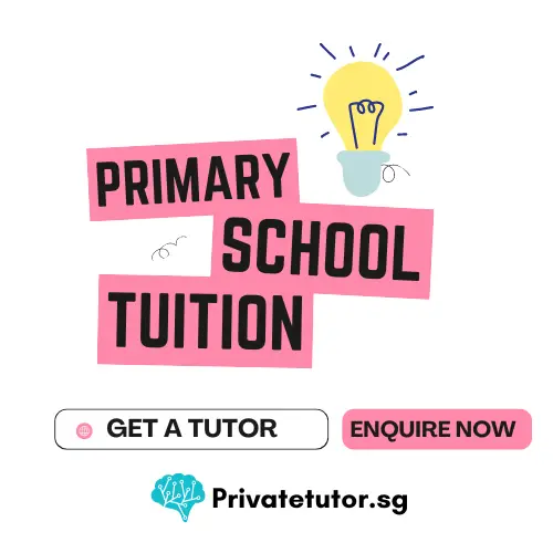 Primary School Tuition Singapore | P1-P6 Private/Home Tutors